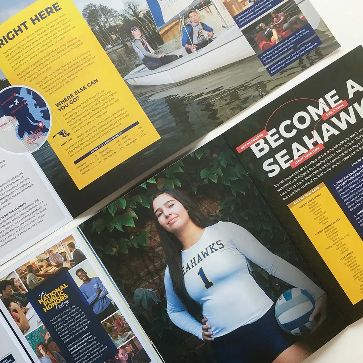 Check Out Our 2020 ADDY Award Winners